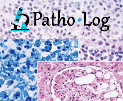 Contact Us | Patho•Log